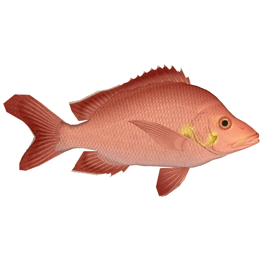 Humpback Red Snapper (Thom) | ZT2 Download Library Wiki | Fandom