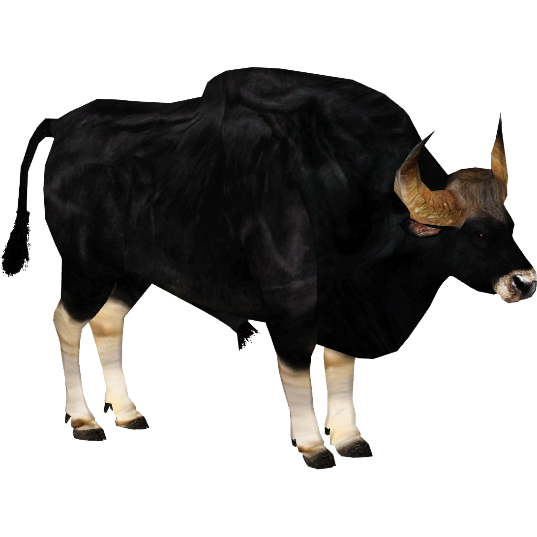Gaur (Zoo Tycoon 2 Thailand) | ZT2 Download Library Wiki | Fandom