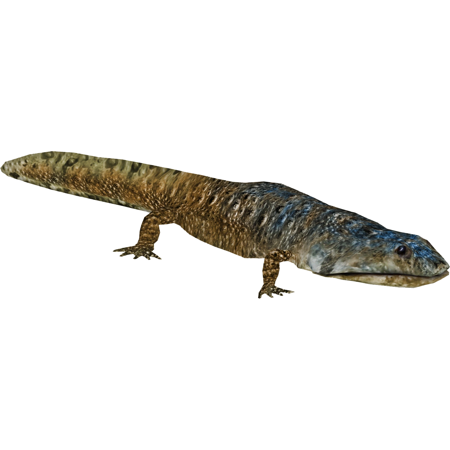 Metoposaurus (Demon Hunter) | ZT2 Download Library Wiki | Fandom