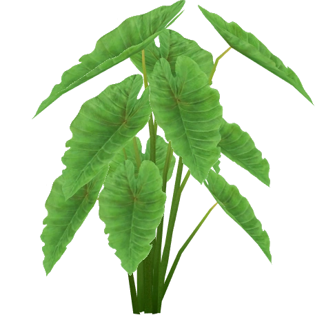 Taro (Aurora Designs) | ZT2 Download Library Wiki | Fandom