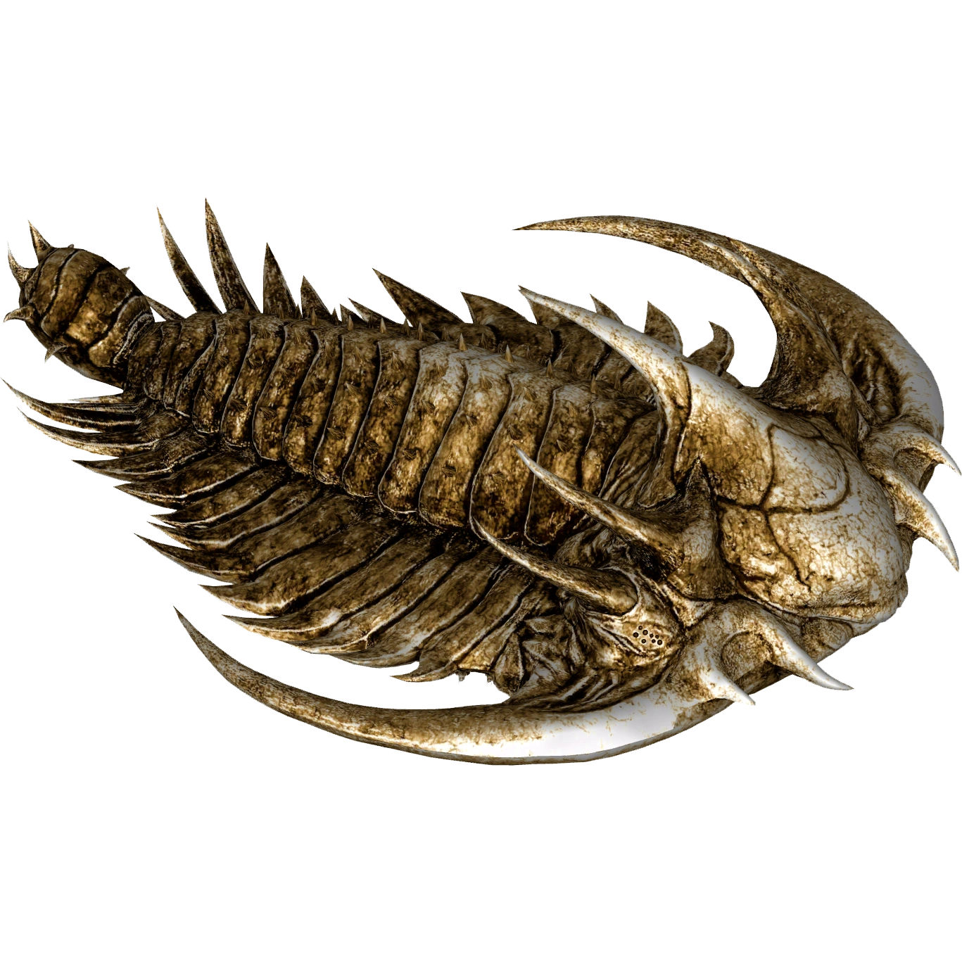 ARK Trilobite (Zoo Tycoon 2 Thailand) | ZT2 Download Library Wiki | Fandom