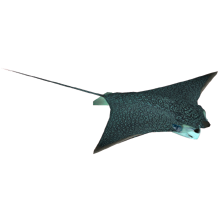 Spotted Eagle Ray (DutchDesigns) | ZT2 Download Library Wiki | Fandom