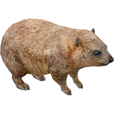 Image - Rock Hyrax (Aurora Designs).png | ZT2 Download Library Wiki ...