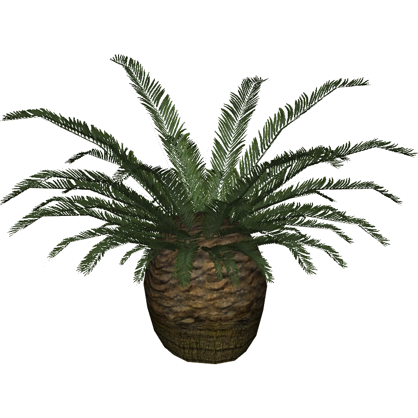 Cycadeoidea (Bunyupy) | ZT2 Download Library Wiki | Fandom