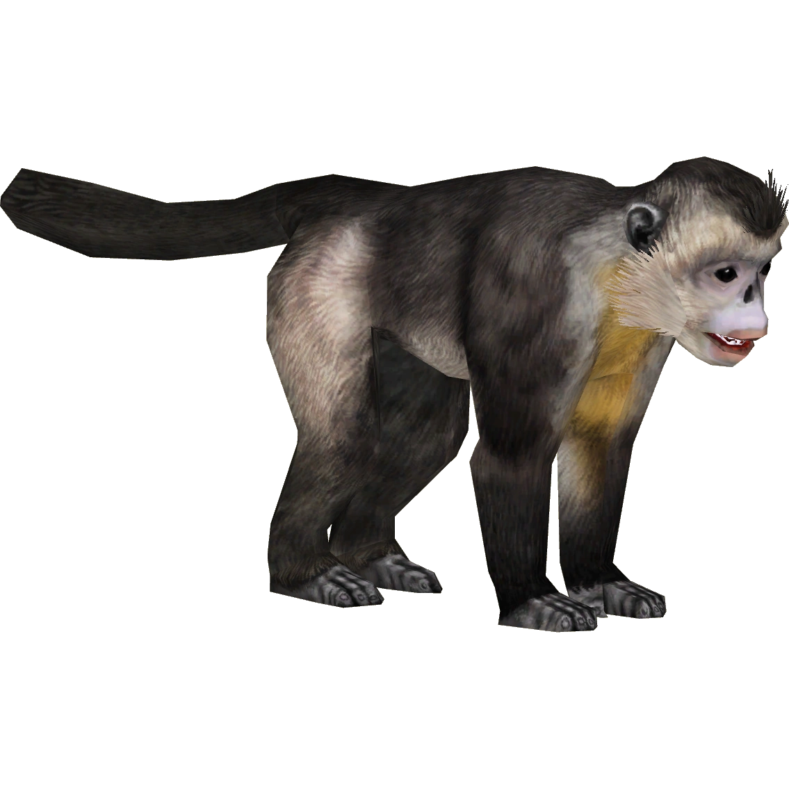 Yunnan Snub Nosed Monkey (Holden) | ZT2 Download Library Wiki | Fandom