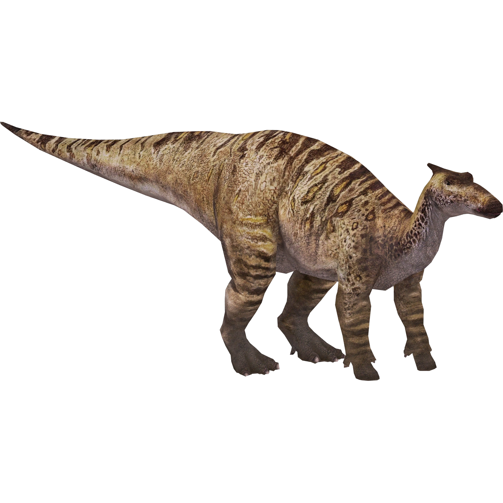 Saurolophus (HENDRIX) | ZT2 Download Library Wiki | Fandom
