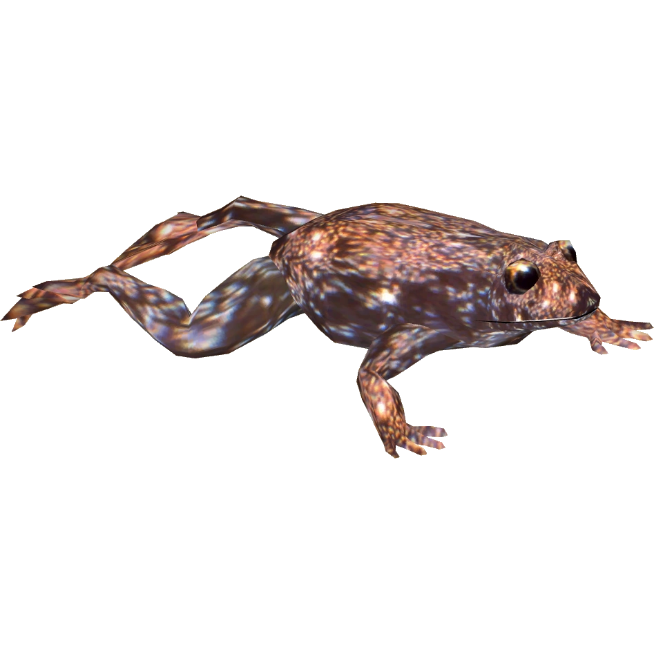 Dotted Humming Frog (Terrena Laxamentum) | ZT2 Download Library Wiki ...