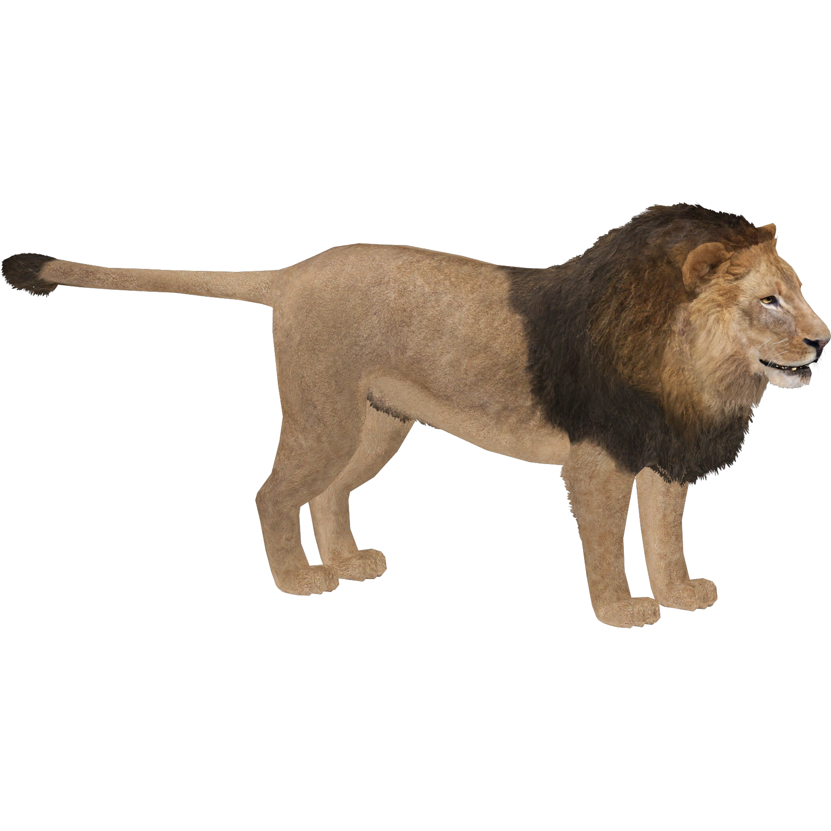 Lion (Zebrasorus) | ZT2 Download Library Wiki | Fandom