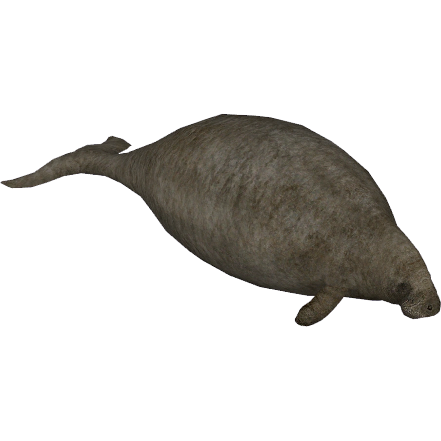 Steller's Sea Cow (HENDRIX & Longisquama) | ZT2 Download Library Wiki ...