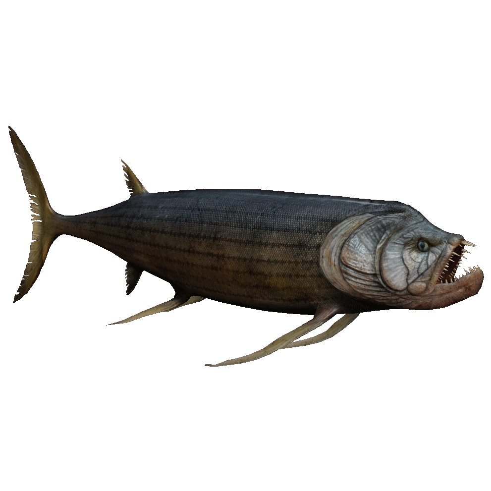Xiphactinus