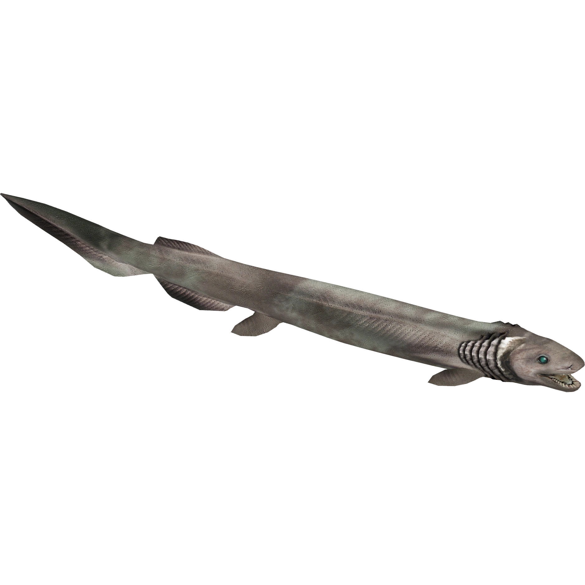Frilled Shark (DudeMeister, Eryel & Zoker) | ZT2 Download Library Wiki ...