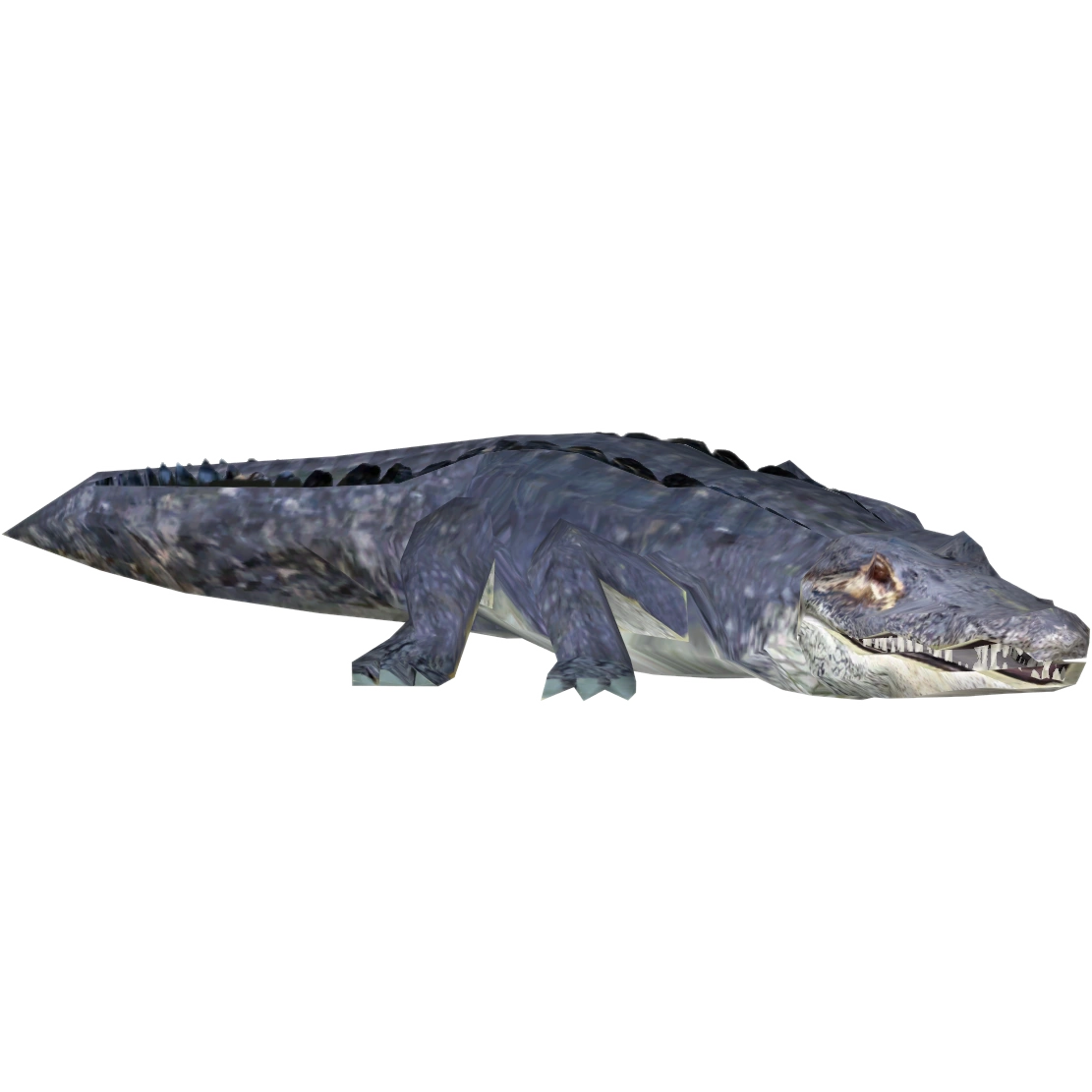American Alligator (Zooa) | ZT2 Download Library Wiki | Fandom