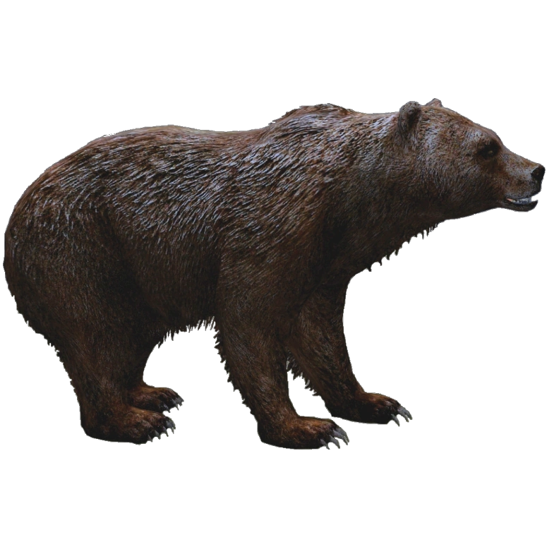 Ussuri Brown Bear (Havok1199) | ZT2 Download Library Wiki | Fandom