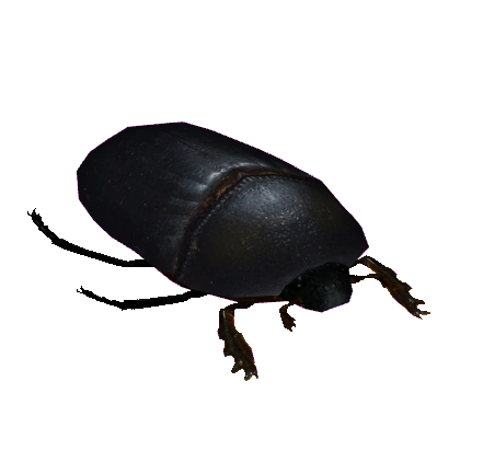 Ulquiorra's things - Page 101 - The ZT2 Round Table