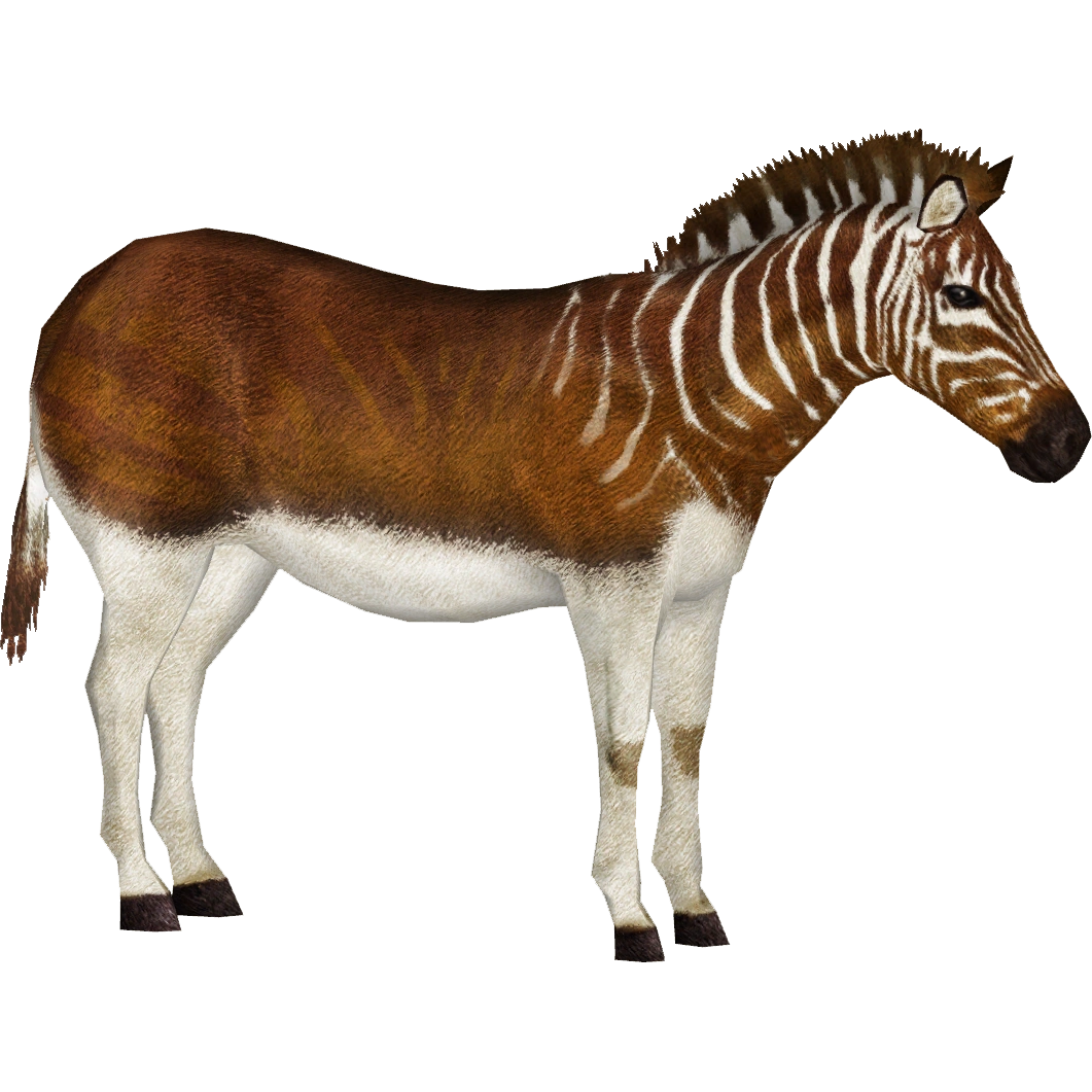 Quagga (Lgcfm) | ZT2 Download Library Wiki | Fandom
