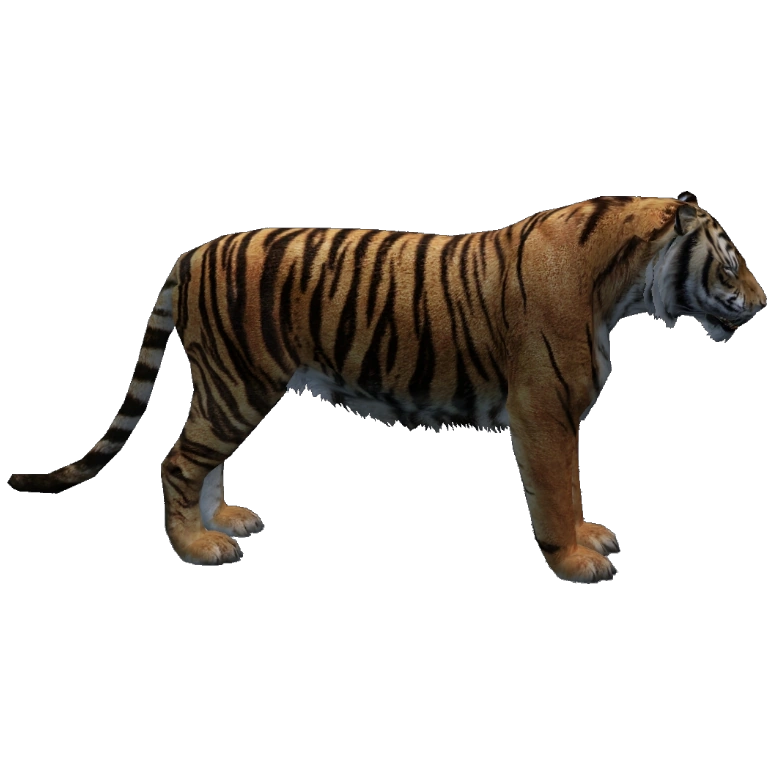 Bali Tiger (Havok1199) | ZT2 Download Library Wiki | Fandom