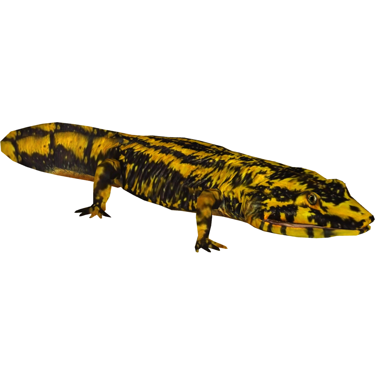 Hynerpeton (Demon Hunter) | ZT2 Download Library Wiki | Fandom