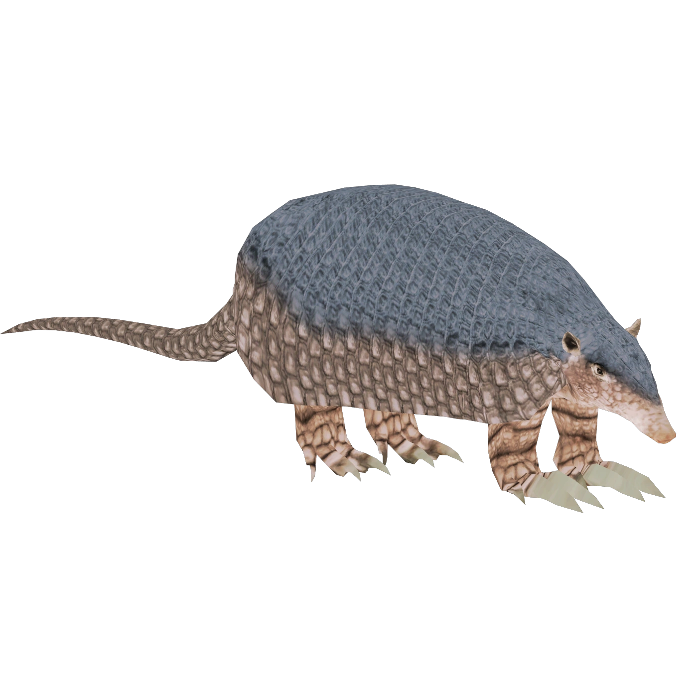 Giant Armadillo (Demon Hunter) | ZT2 Download Library Wiki | Fandom