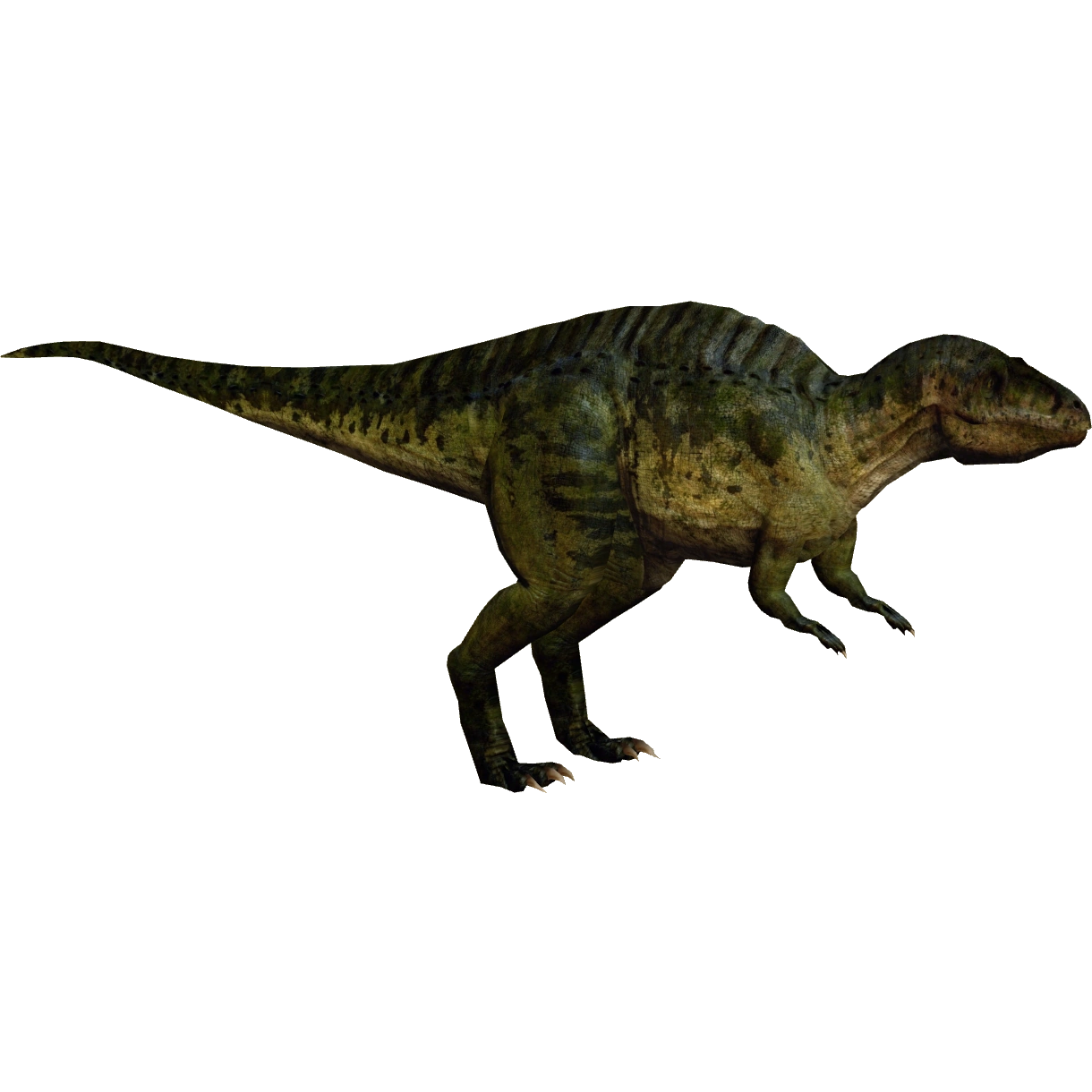 Xiphactinus Royboy407 Zt2 Download Library Wiki