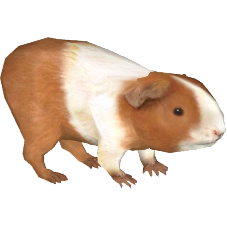 Image - Cuy Criollo Mejorado (Tamara Henson).png | ZT2 Download Library ...