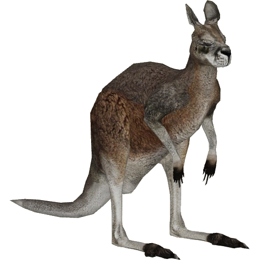 Procoptodon goliah (Lazardi & Ringo) | ZT2 Download Library Wiki | Fandom