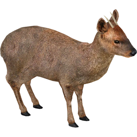 Image - Pudu.png | ZT2 Download Library Wiki | FANDOM powered by Wikia