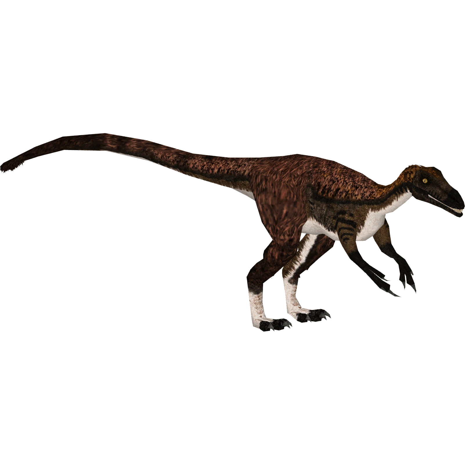 Stokesosaurus (Bunyupy) | ZT2 Download Library Wiki | Fandom