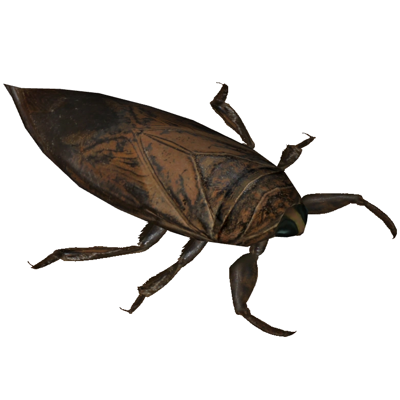 Ulquiorra's things - Page 101 - The ZT2 Round Table