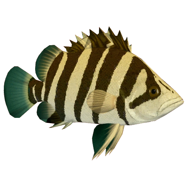 Siamese Tigerfish (Thom) | ZT2 Download Library Wiki | Fandom