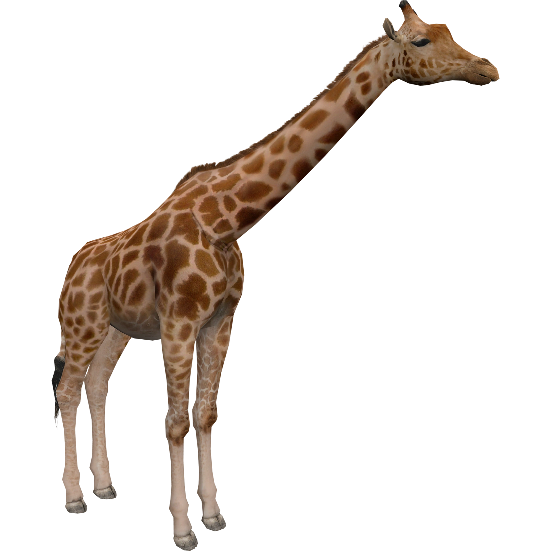 Nigerian Giraffe (Tycoonfan) | ZT2 Download Library Wiki | Fandom