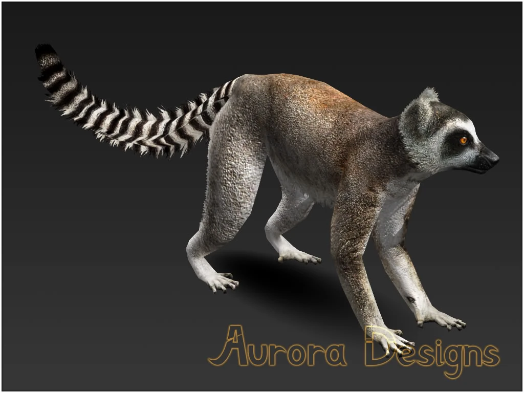 Category:Lemuriformes | ZT2 Download Library Wiki | Fandom