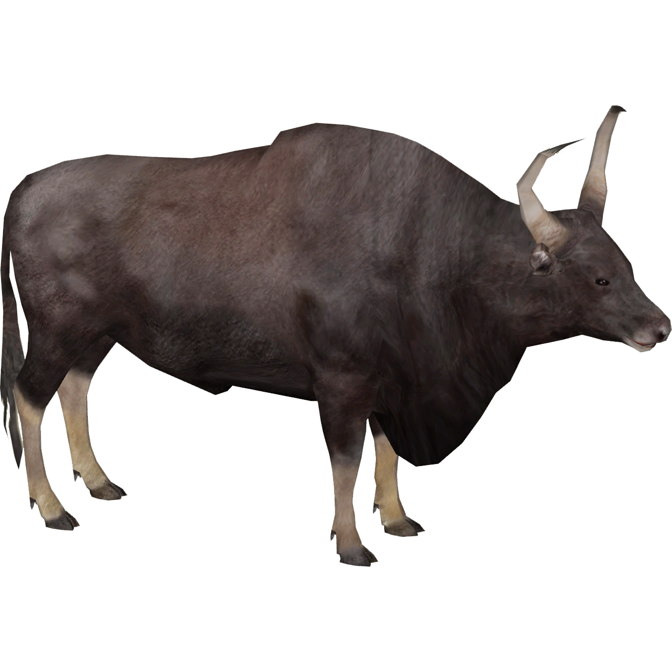 Kouprey (Tamara Henson) | ZT2 Download Library Wiki | Fandom