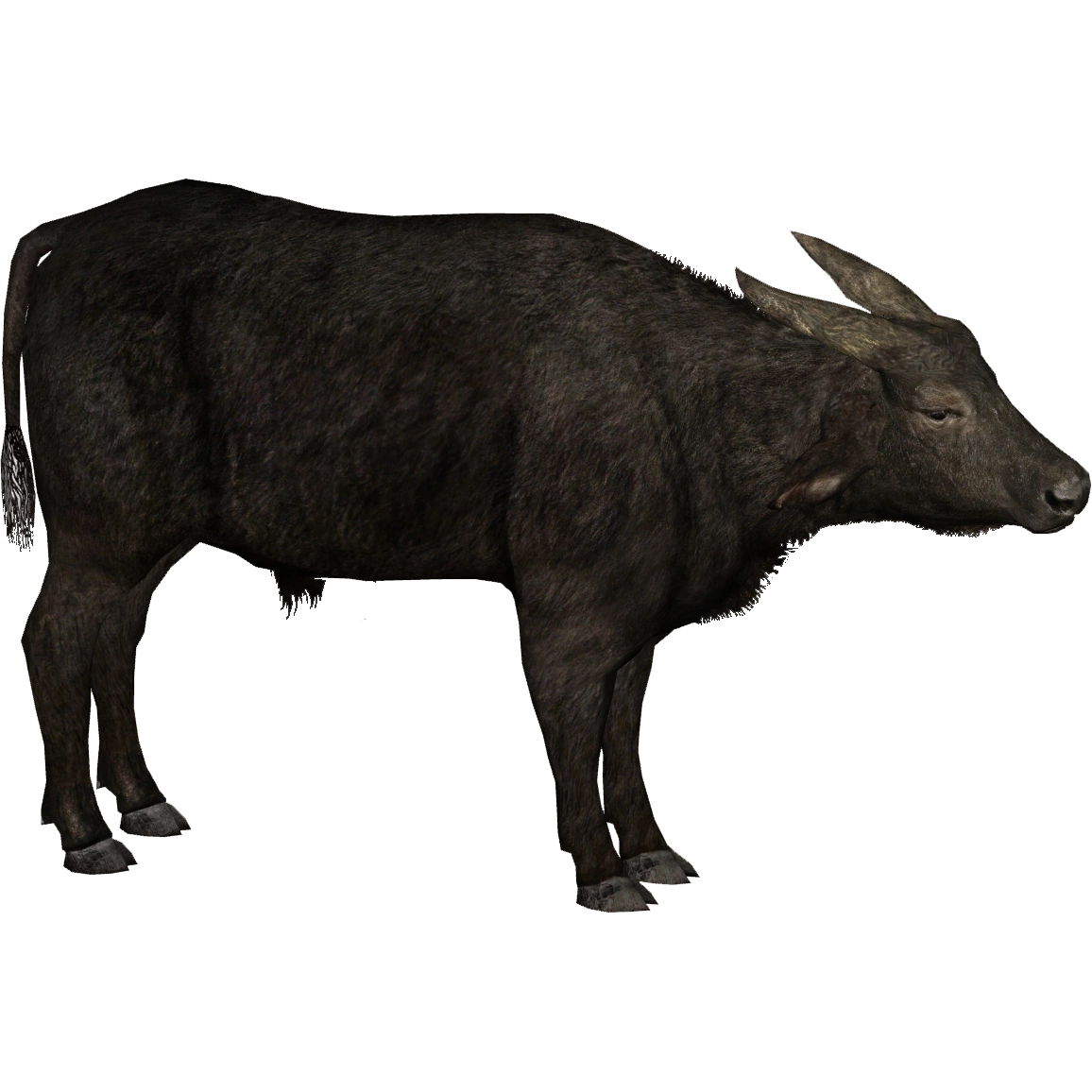 Tamaraw (DRAGON-unit911) | ZT2 Download Library Wiki | Fandom