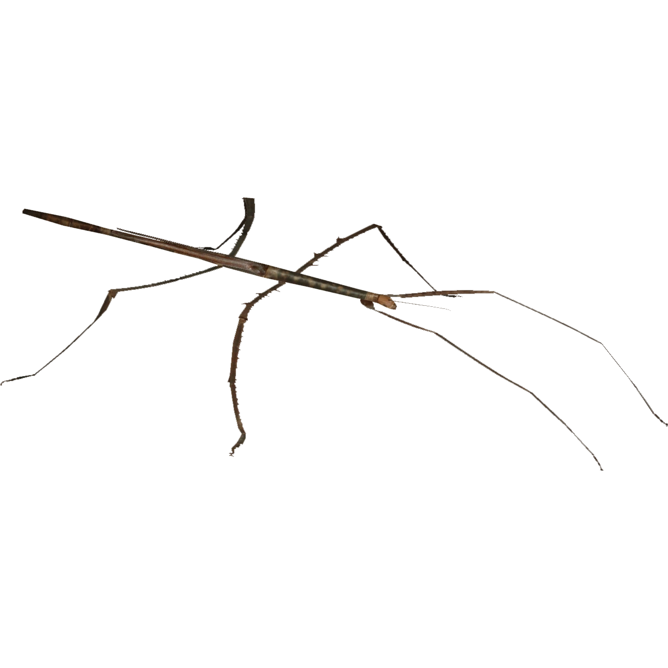 Ulquiorra's things - Page 101 - The ZT2 Round Table