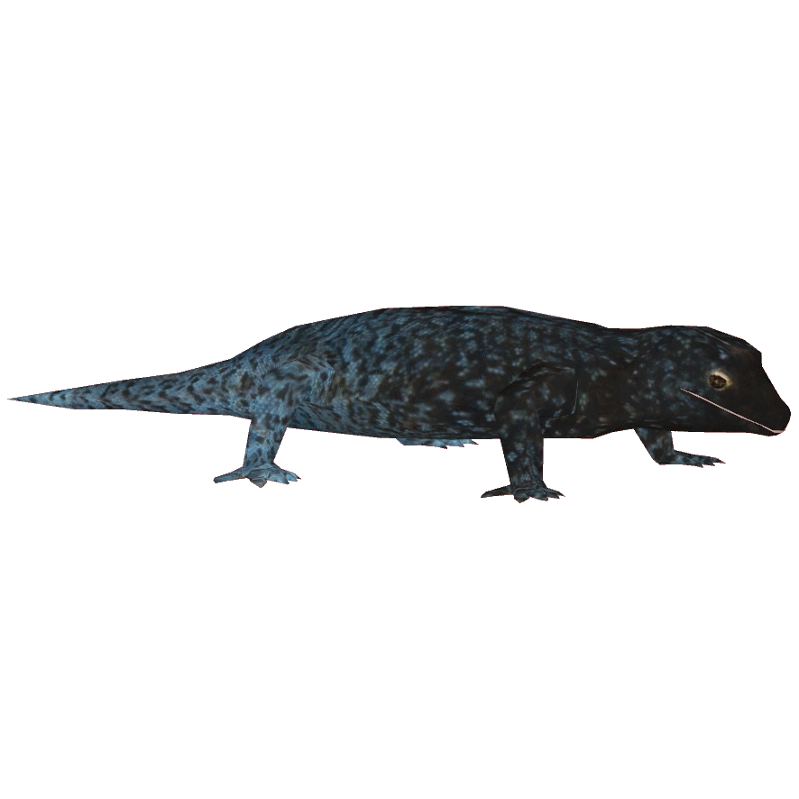 Rodrigues Day Gecko (Dacentru) | ZT2 Download Library Wiki | Fandom