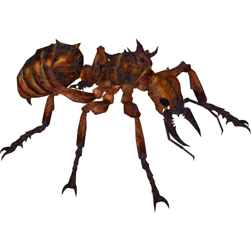 Ulquiorra's things - Page 101 - The ZT2 Round Table