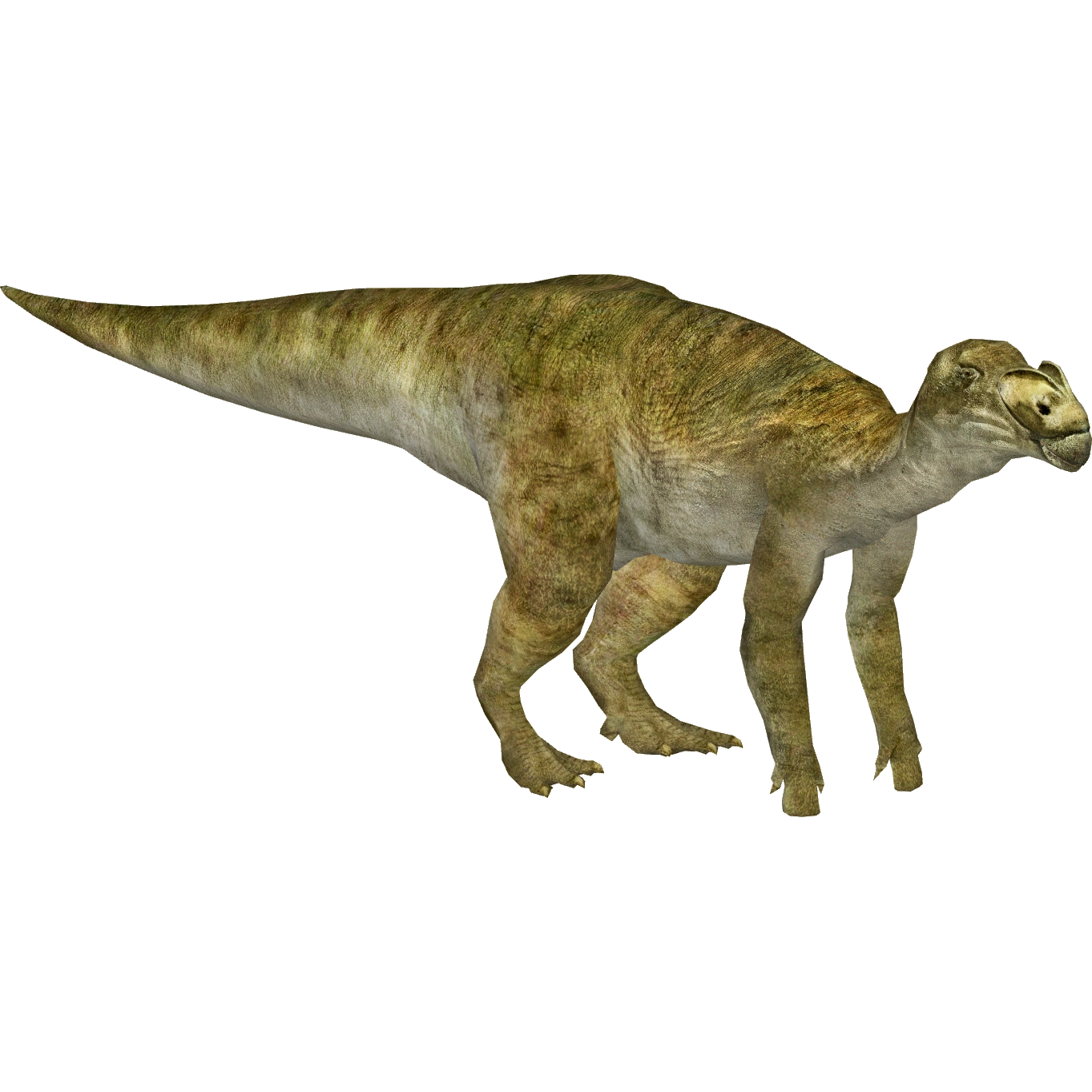 Muttaburrasaurus (HENDRIX) | ZT2 Download Library Wiki | Fandom