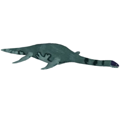 Kaiwhekea (Whalebite) | ZT2 Download Library Wiki | Fandom