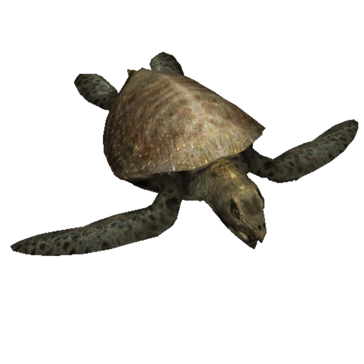 Archelon (Tyranachu) | ZT2 Download Library Wiki | FANDOM powered by Wikia