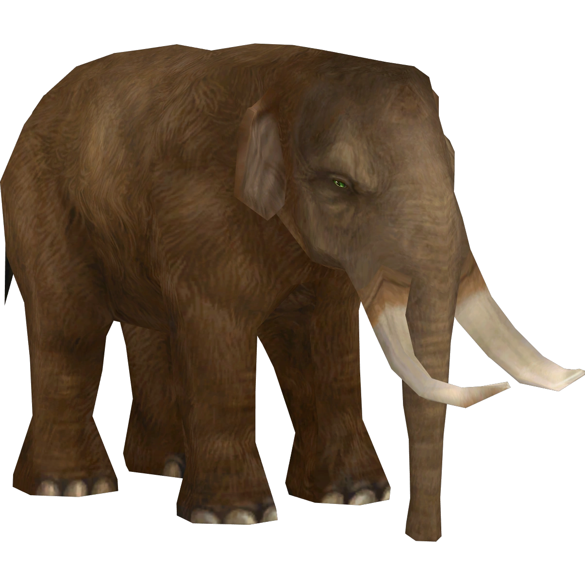 Naumann's Elephant (Colonel Swampert & Mjmannella) | ZT2 Download ...