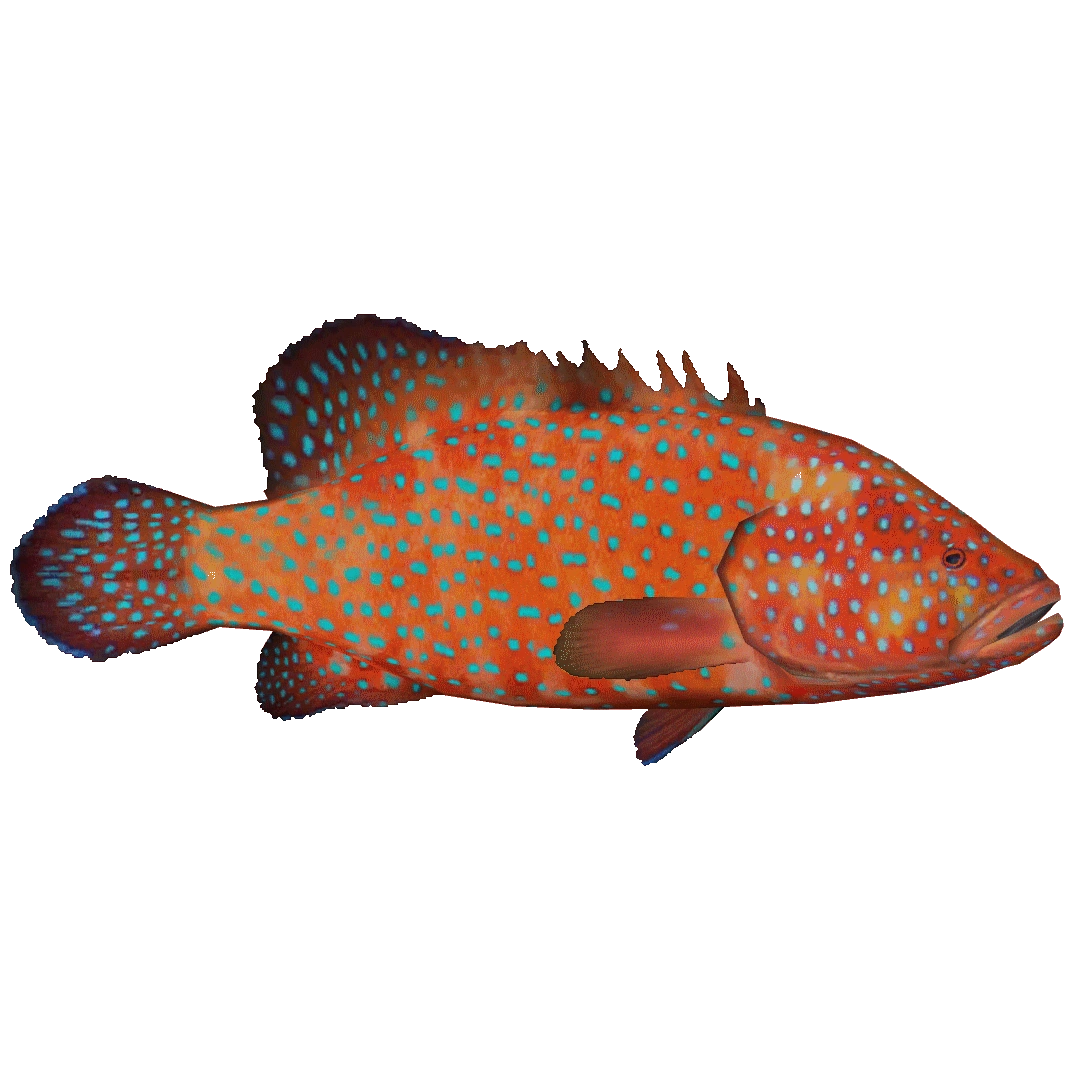 Coral Trout (Thom) | ZT2 Download Library Wiki | Fandom
