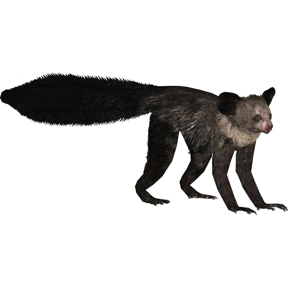 Aye-aye (Zerosvalmont) | ZT2 Download Library Wiki | FANDOM powered by ...