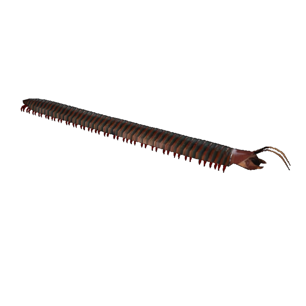 Euphoberia (Andrew12) | ZT2 Download Library Wiki | Fandom