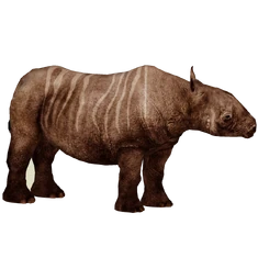 Trigodon (Jose Antonio) | ZT2 Download Library Wiki | Fandom