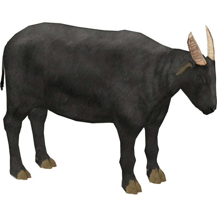 Tamaraw (Bill & Thom) | ZT2 Download Library Wiki | Fandom