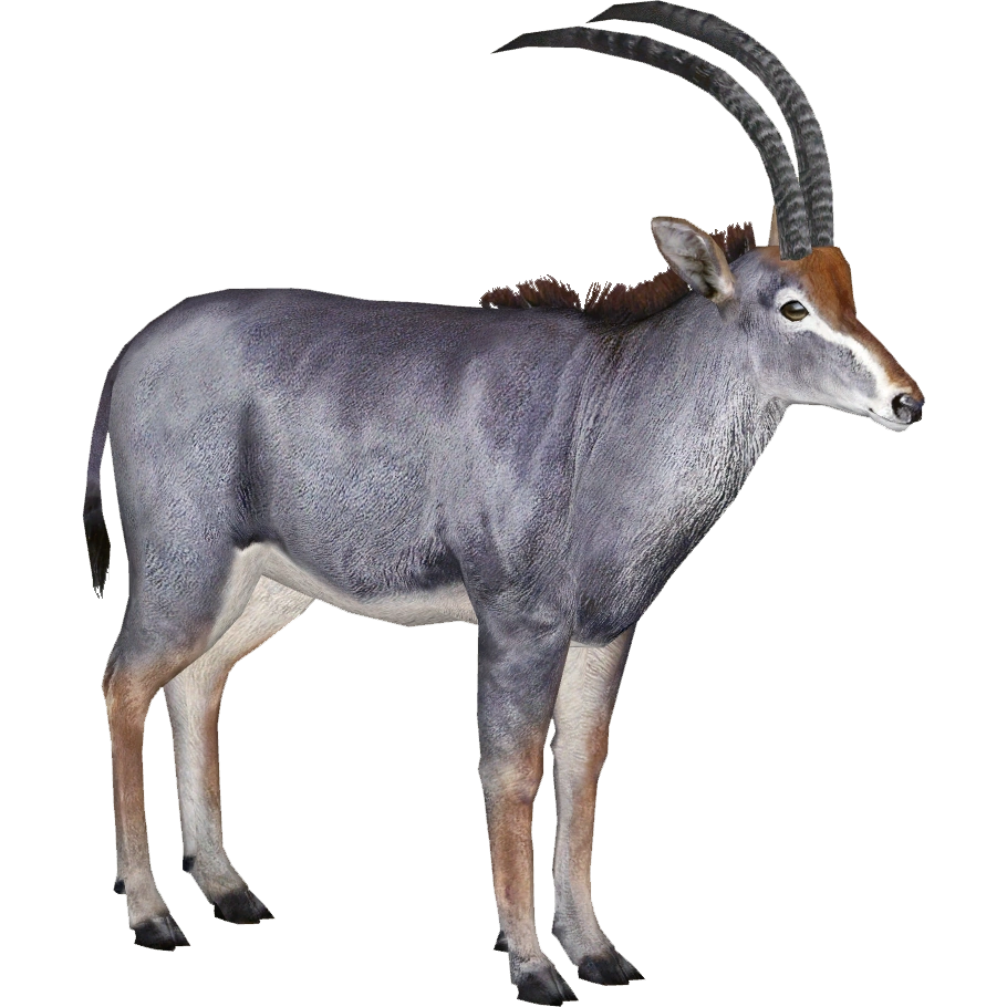 Bluebuck (Lights) | ZT2 Download Library Wiki | Fandom