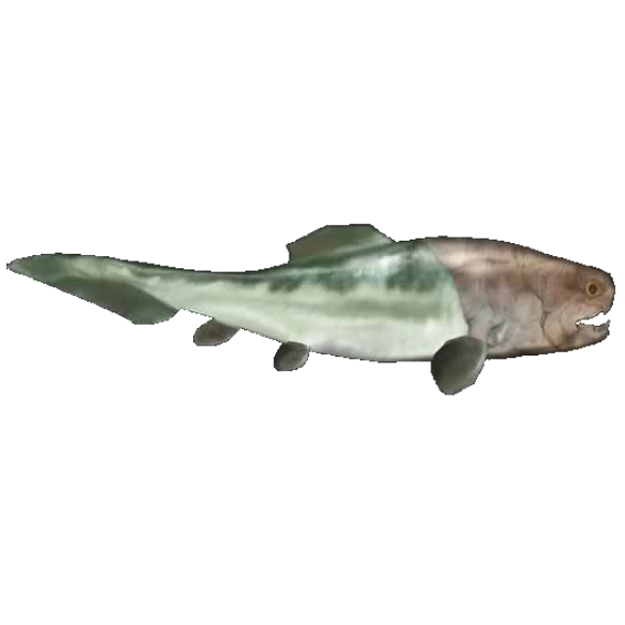 Gorgonichthys (Imago) | ZT2 Download Library Wiki | Fandom
