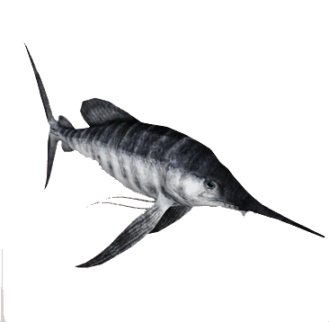 Protosphyraena (Okeanos) | ZT2 Download Library Wiki | FANDOM powered ...