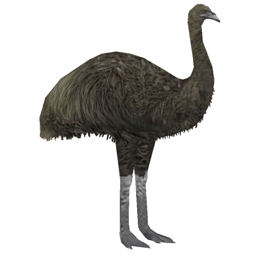 South Island Giant Moa (Ringo) | ZT2 Download Library Wiki | Fandom