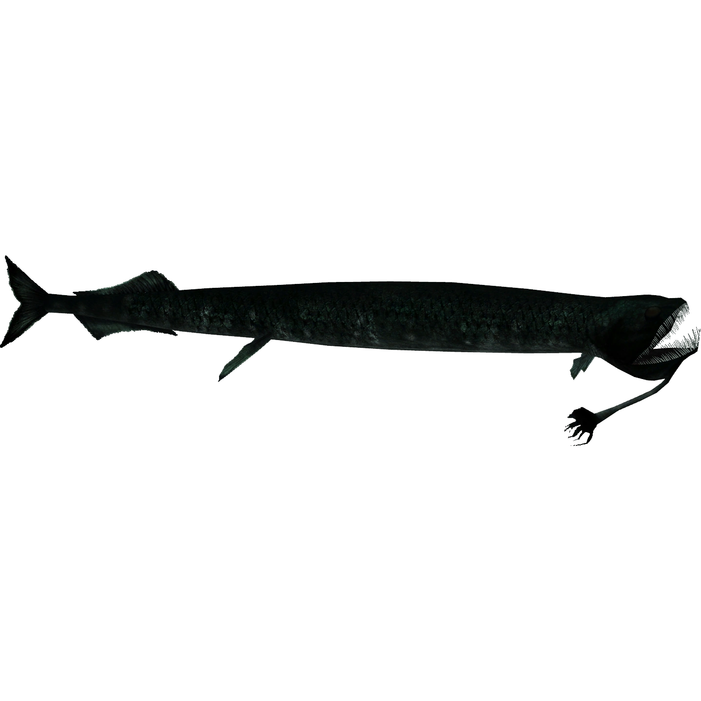 Scaly Dragonfish (Zoker) | ZT2 Download Library Wiki | Fandom